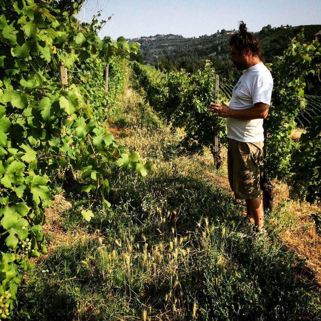 Fabio Gea - ein Naturwein-Geheimtipp aus Barbaresco